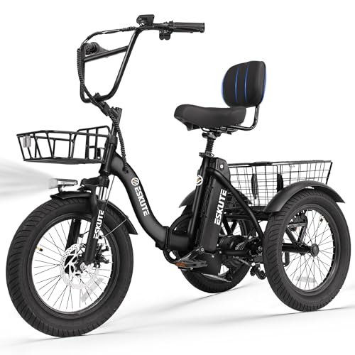 ESKUTE E Trike Electric Bike Reviews: Honest Buyer’s Guide - PickMyScooter