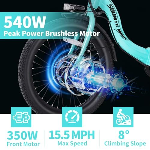 8 Best Electric Trike For Heavy Adults (2026) - PickMyScooter